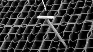 STABILISATION DE TALUS - ECOVEGETAL